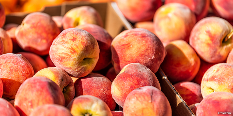 Palisade Peaches: Delicious Colorado History